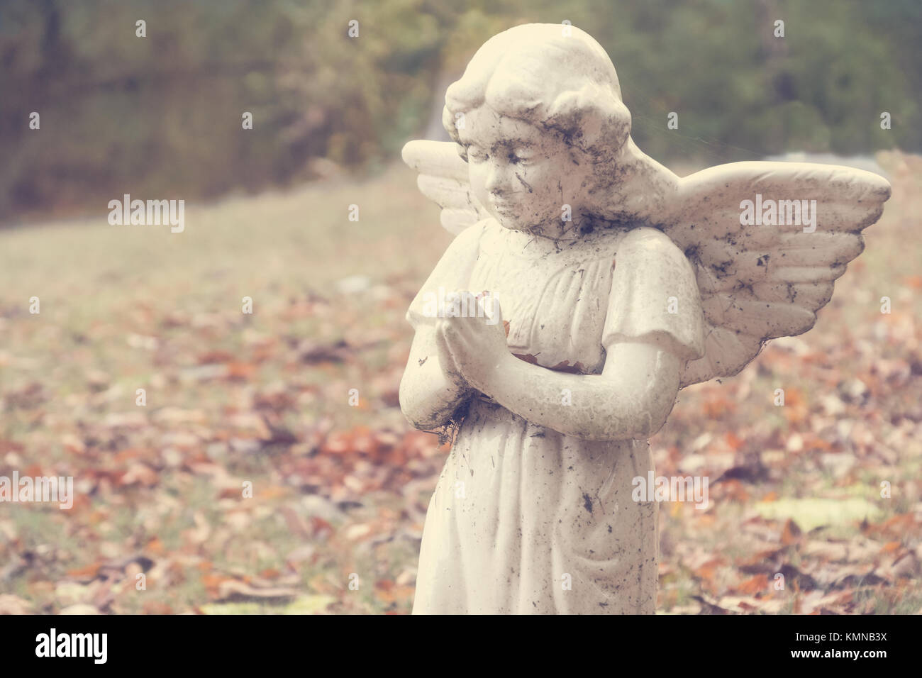A graveside angel at The Denson Landing Cemetery surrounded by a carpet ...