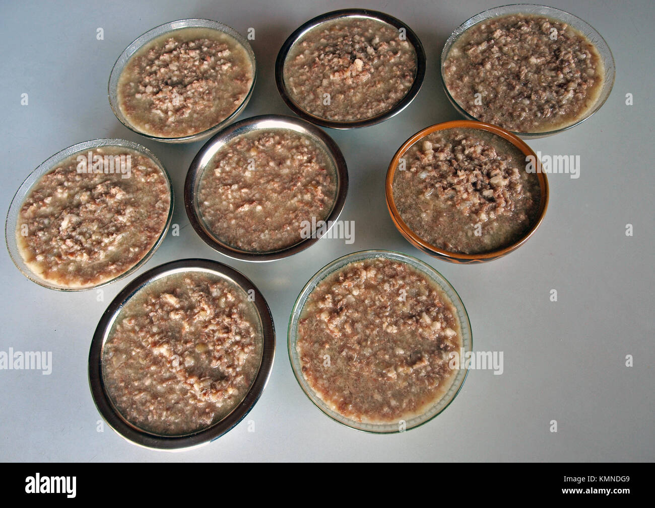Aspic jelly hi-res stock photography and images - Alamy