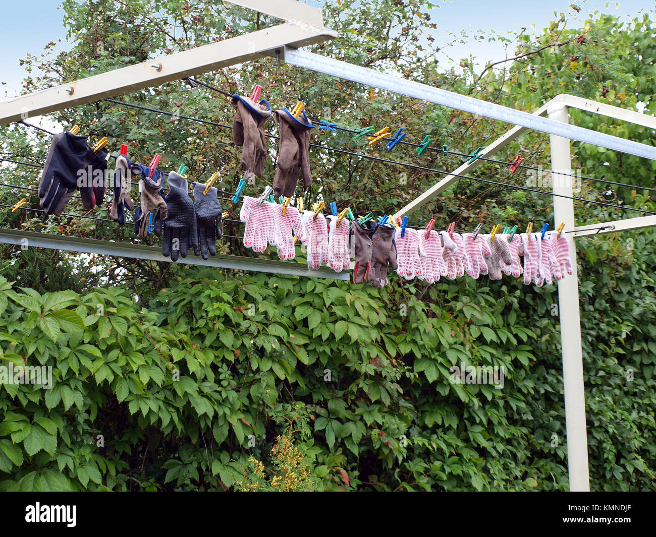 Protective work glowes drying on laundry rope outdoor Stock Photo - Alamy