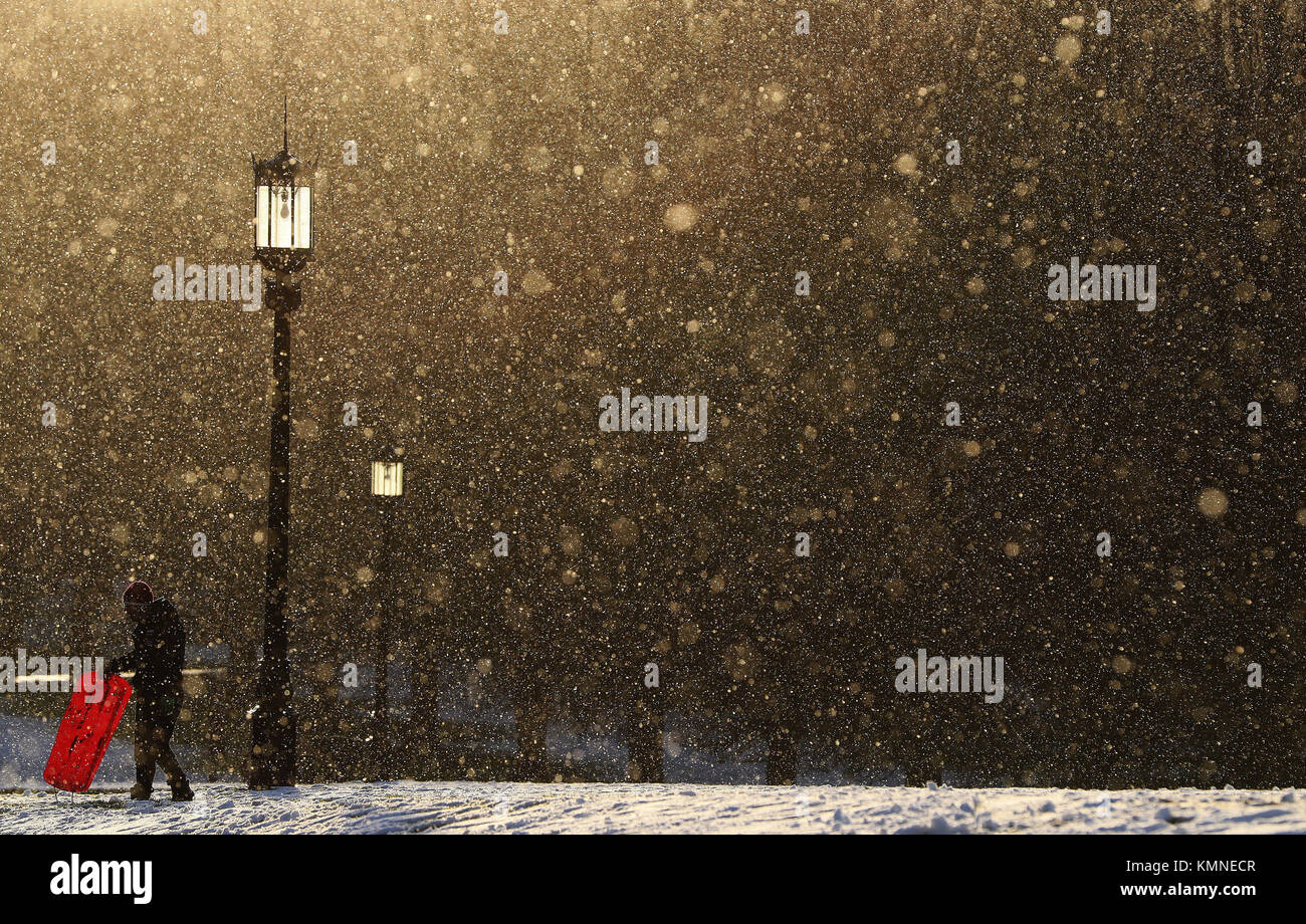 On the grounds of stormont estate hi-res stock photography and images ...