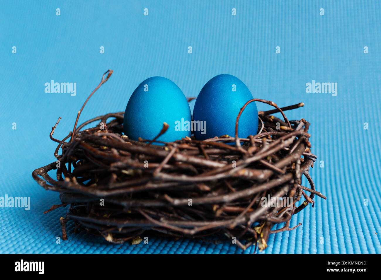 Blue nest hi-res stock photography and images - Alamy