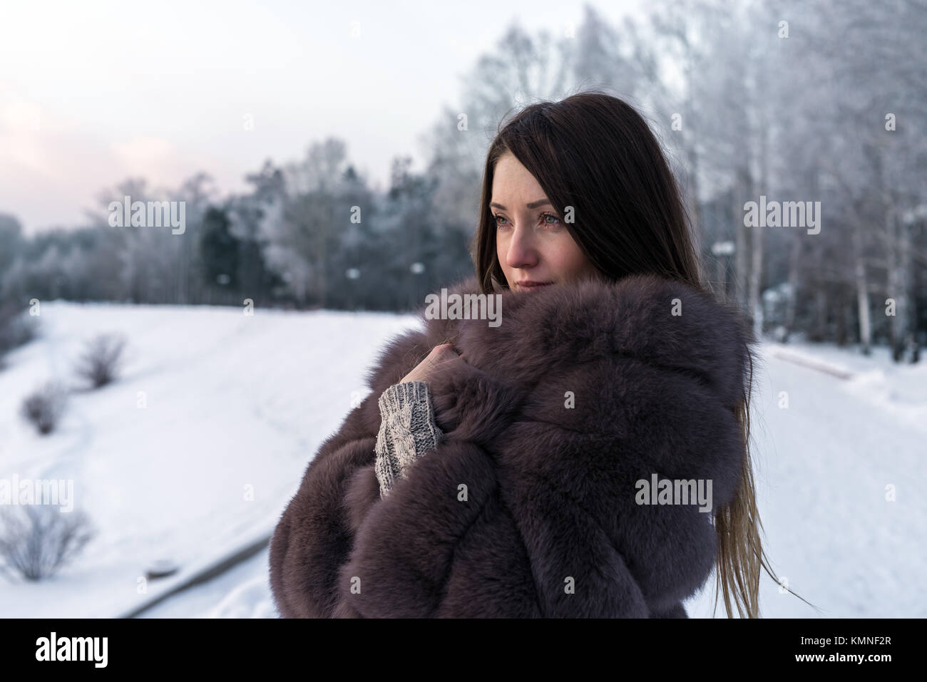 Long Fur Covered High Resolution Stock Photography and Images - Alamy