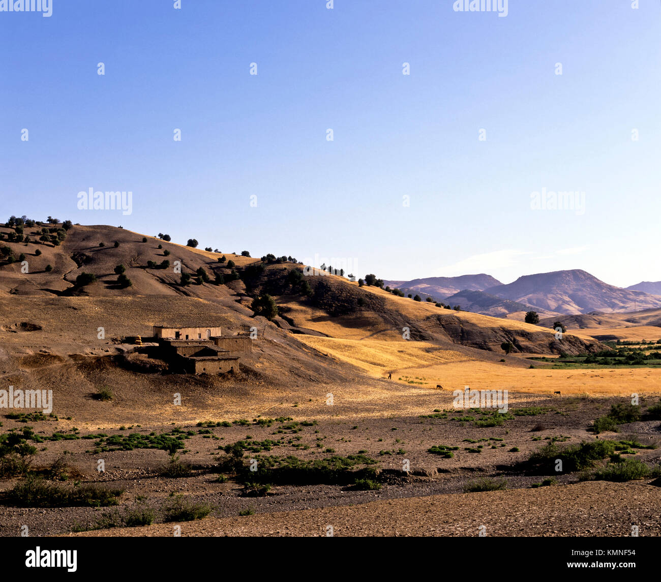 8789. Small farm, Middle Atlas Mountains, Morocco Stock Photo - Alamy