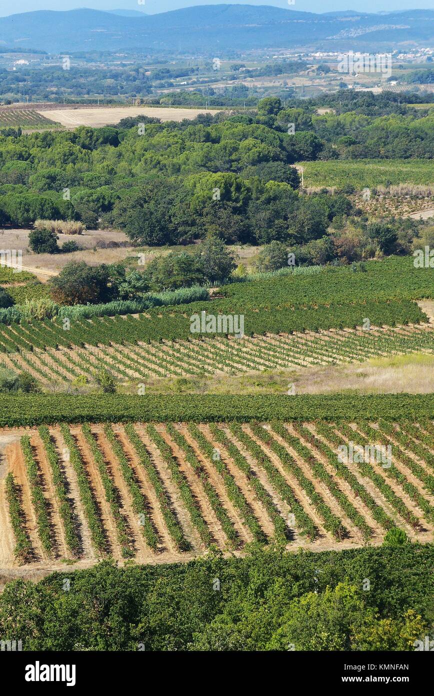 Faugeres wine hi-res stock photography and images - Alamy