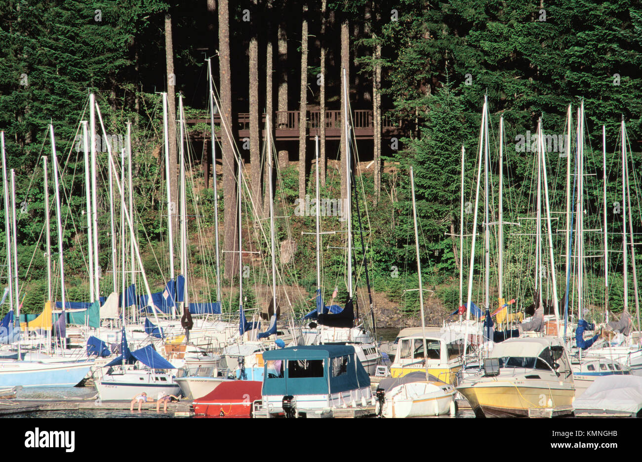Detroit Lake Oregon Boat Rentals at James Velarde blog