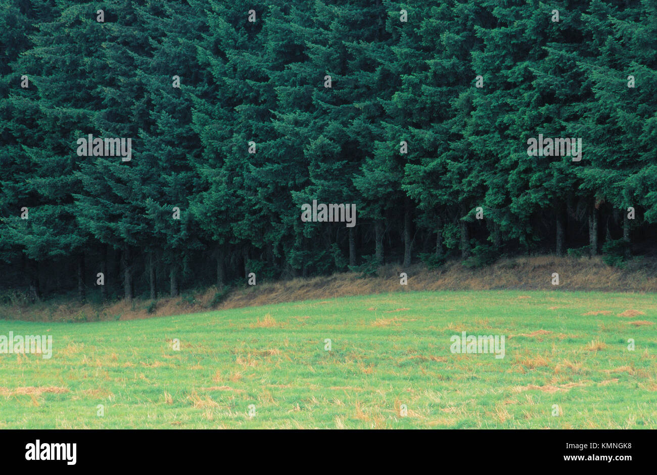 Farmland next to forest Stock Photo - Alamy