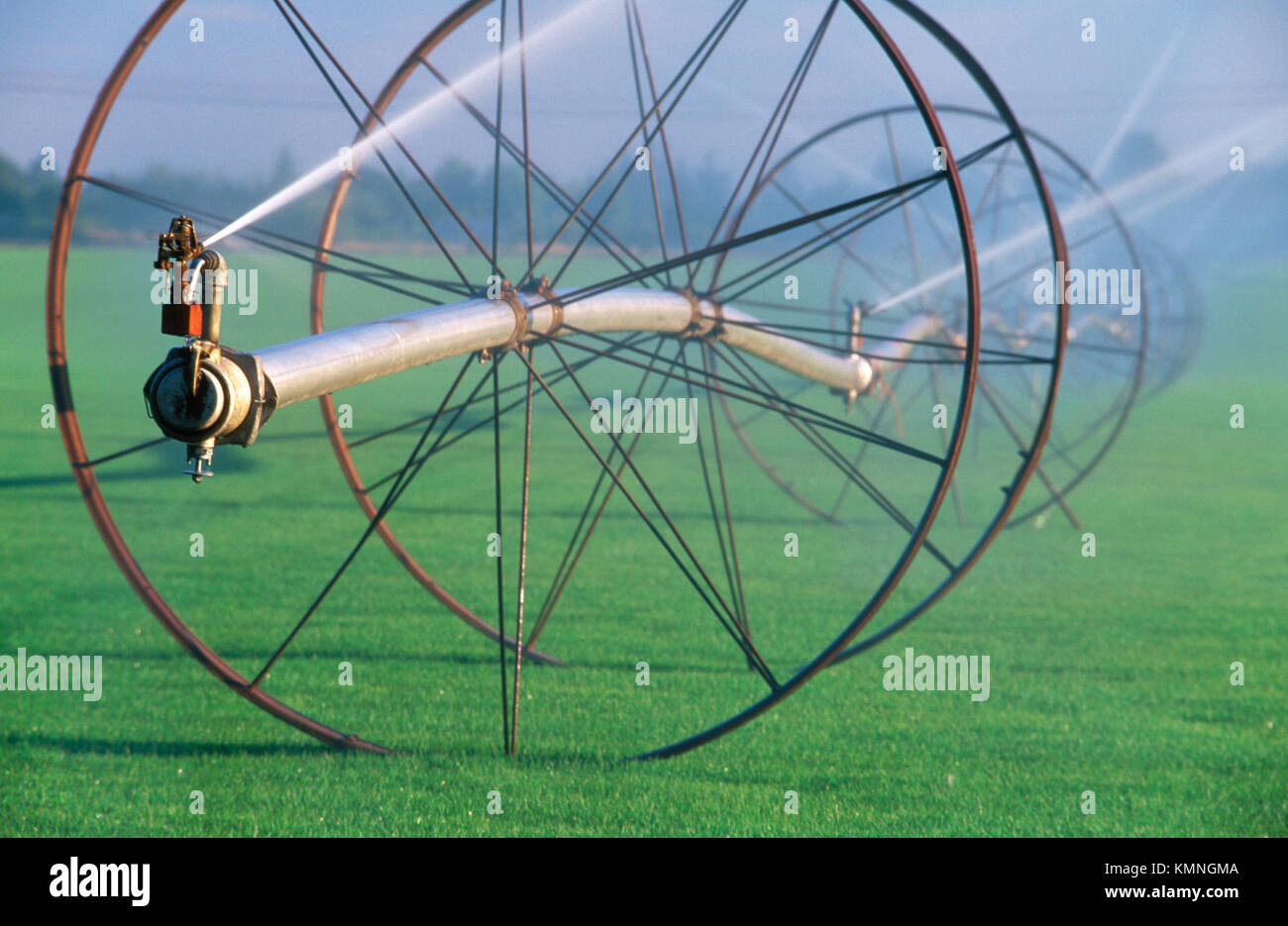 Sprinkler sod hi-res stock photography and images - Alamy