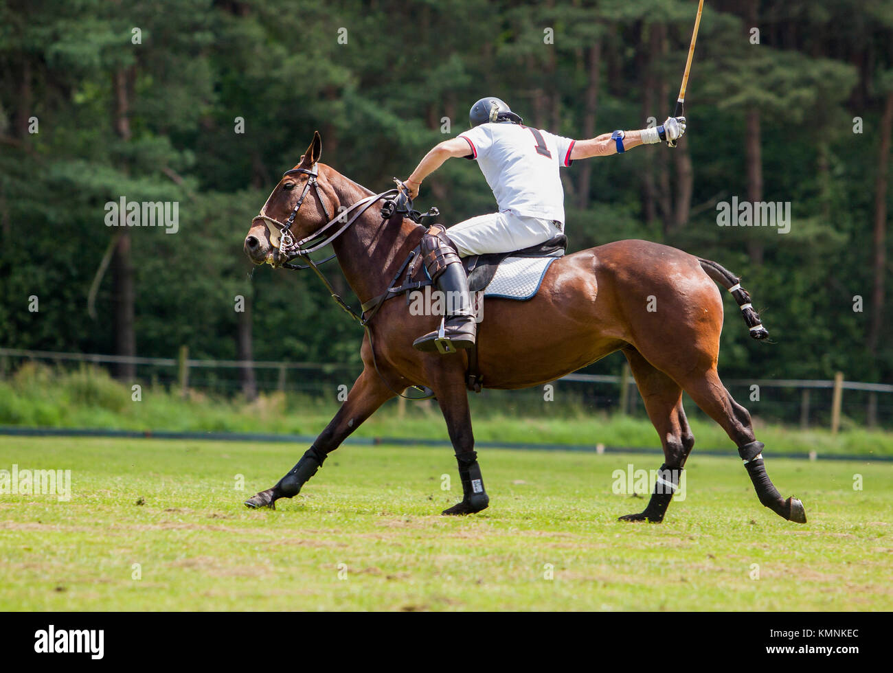 Polo player hit ball hi-res stock photography and images - Alamy