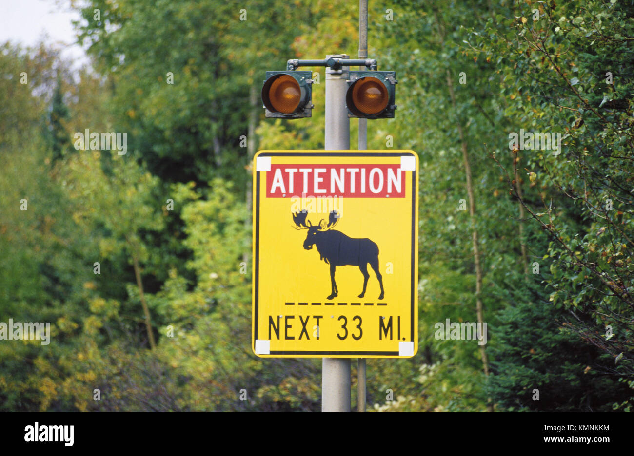 Moose road hazard warning sign hi-res stock photography and images - Alamy