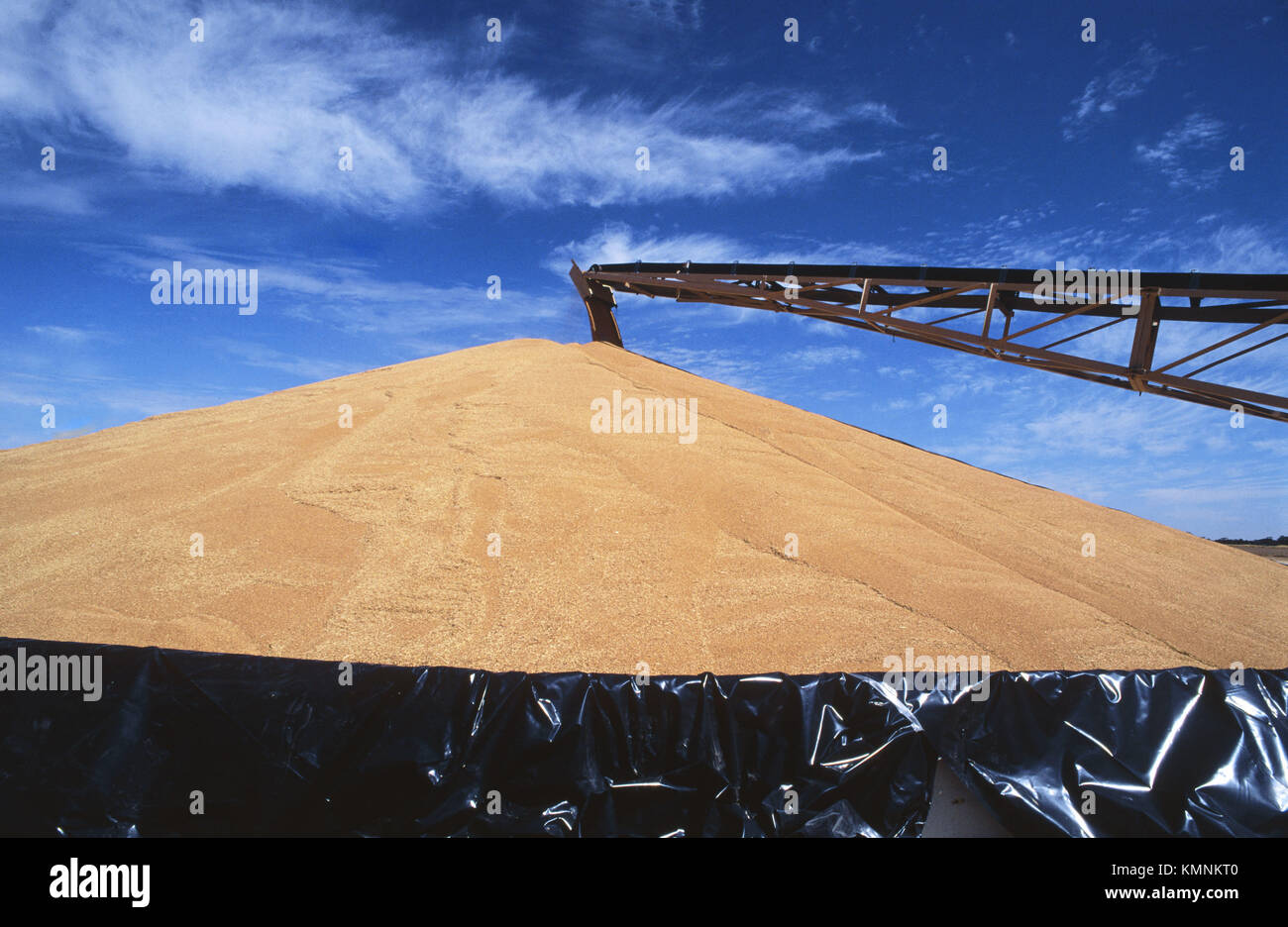 Wheat overflow hi-res stock photography and images - Alamy