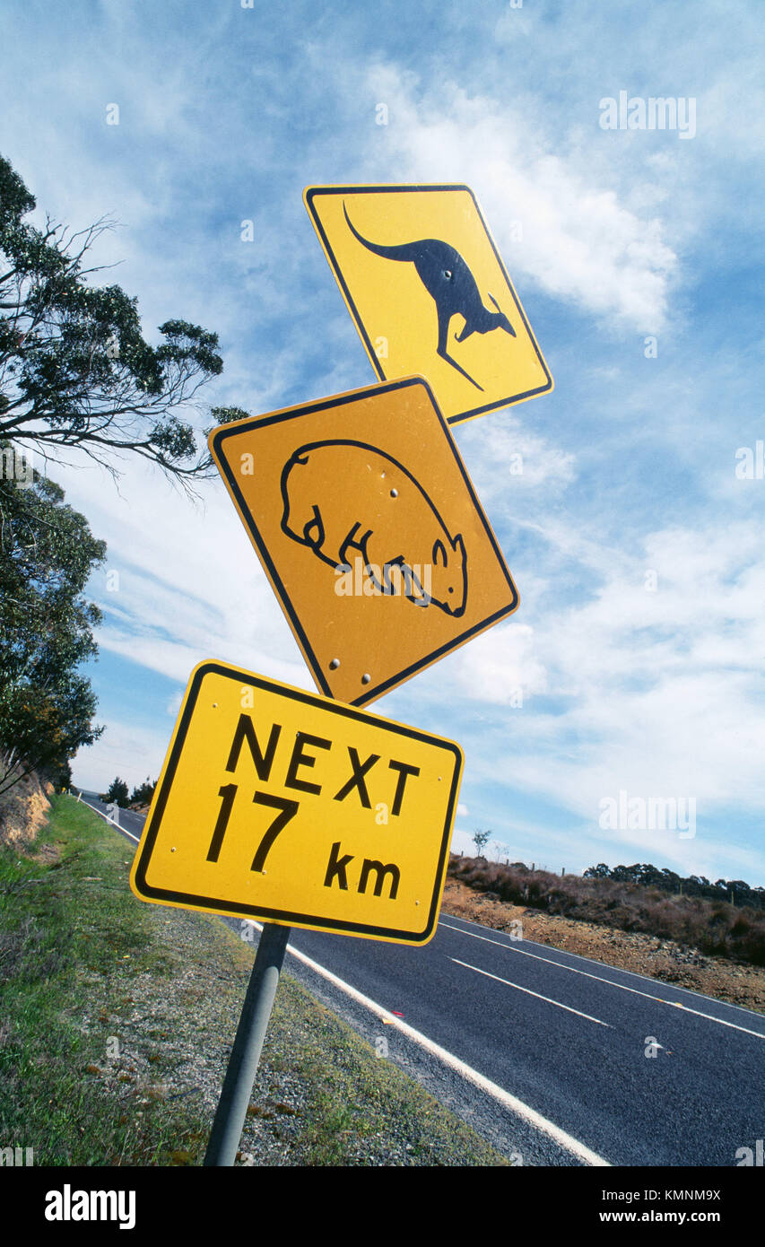 Wombat warning sign hi-res stock photography and images - Alamy
