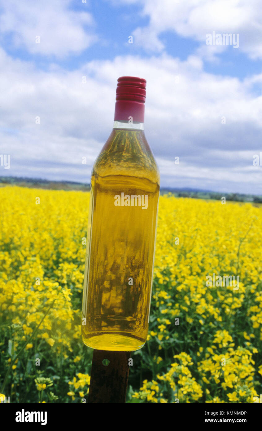 Yellow canola oil bottles hi-res stock photography and images - Alamy
