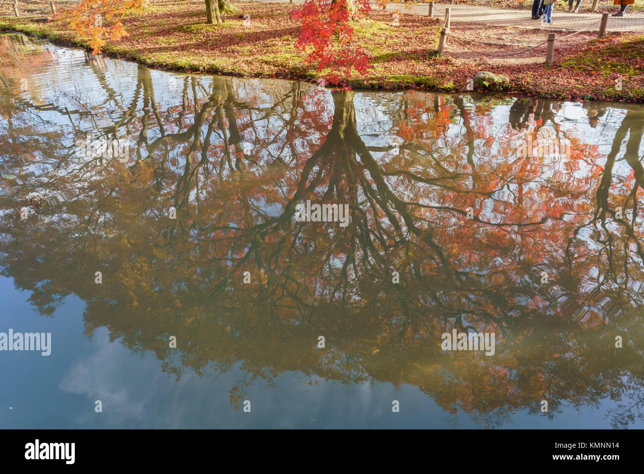 Beautiful fall color of Kyoto Botanical Garden, Kyoto, Japan Stock ...