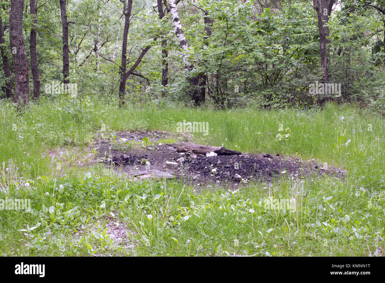 bonfire ashes at forest glade Stock Photo - Alamy