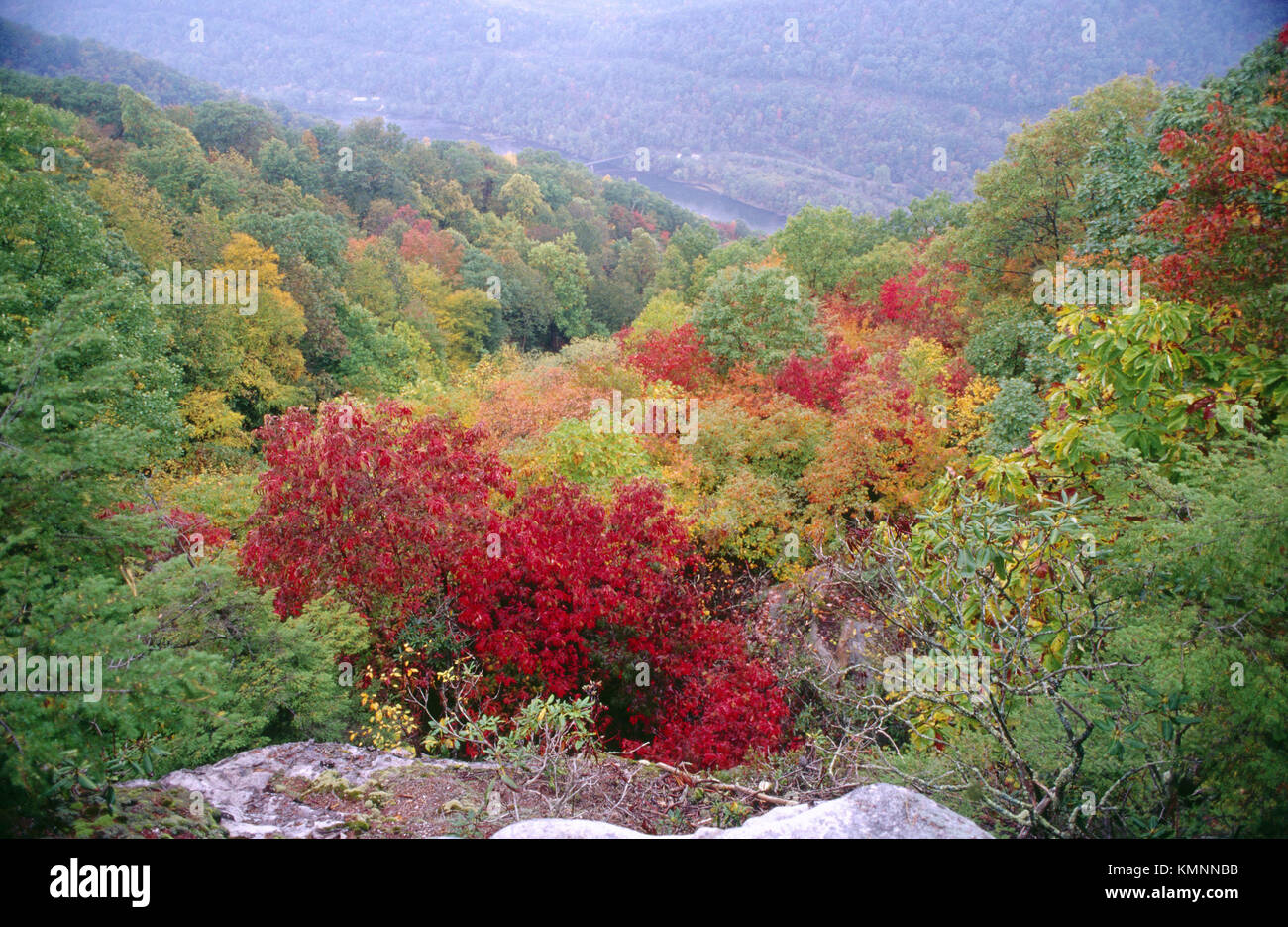 Autumn colours in valley Stock Photo - Alamy