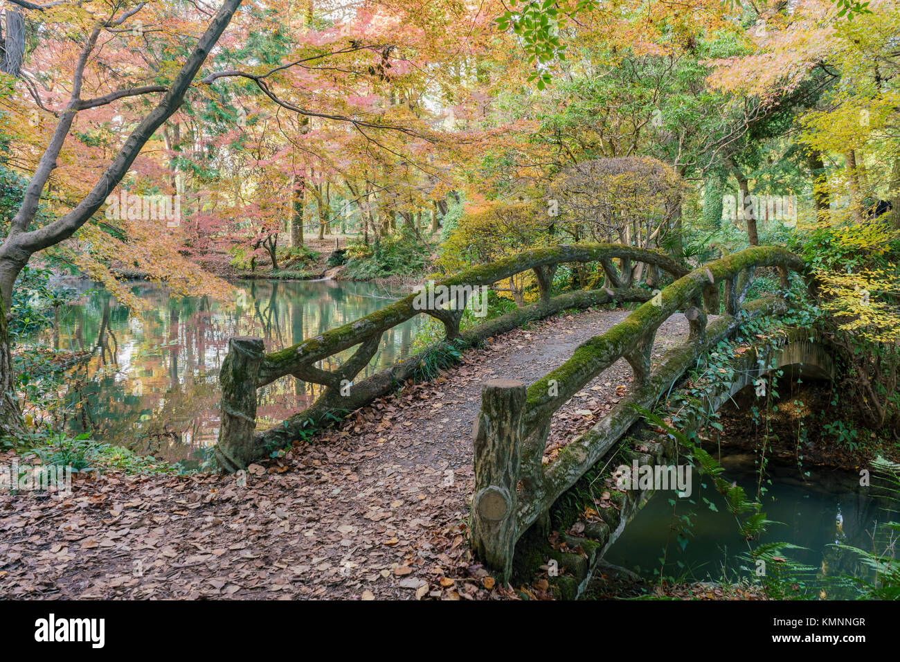 Beautiful fall color of Kyoto Botanical Garden, Kyoto, Japan Stock ...