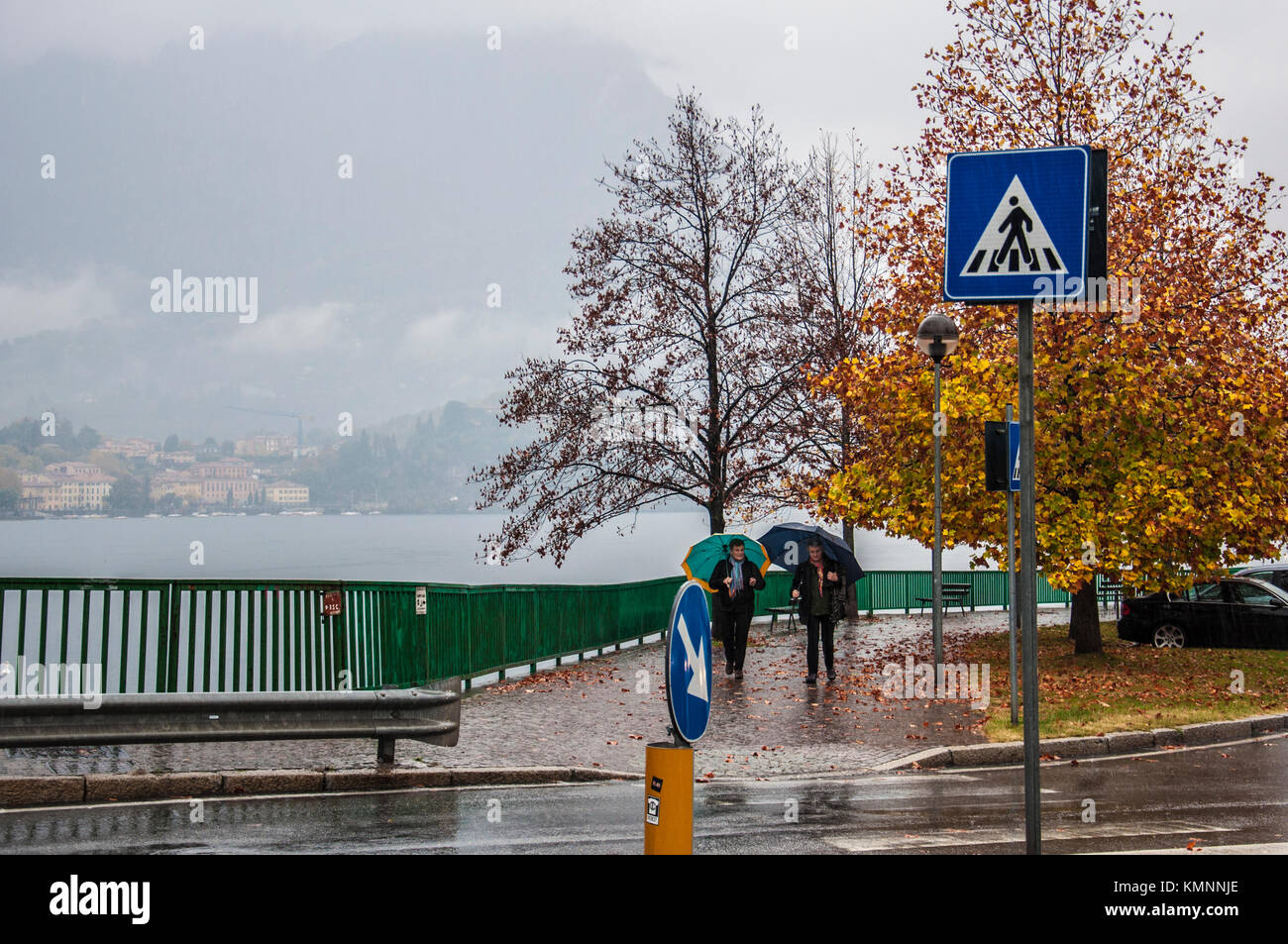 horizontal view of the lake como and orange trees in Lecco, Lombardy ...