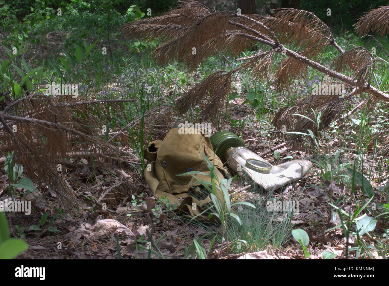army gas mask without hose and rag bag under a dry pine branch Stock ...