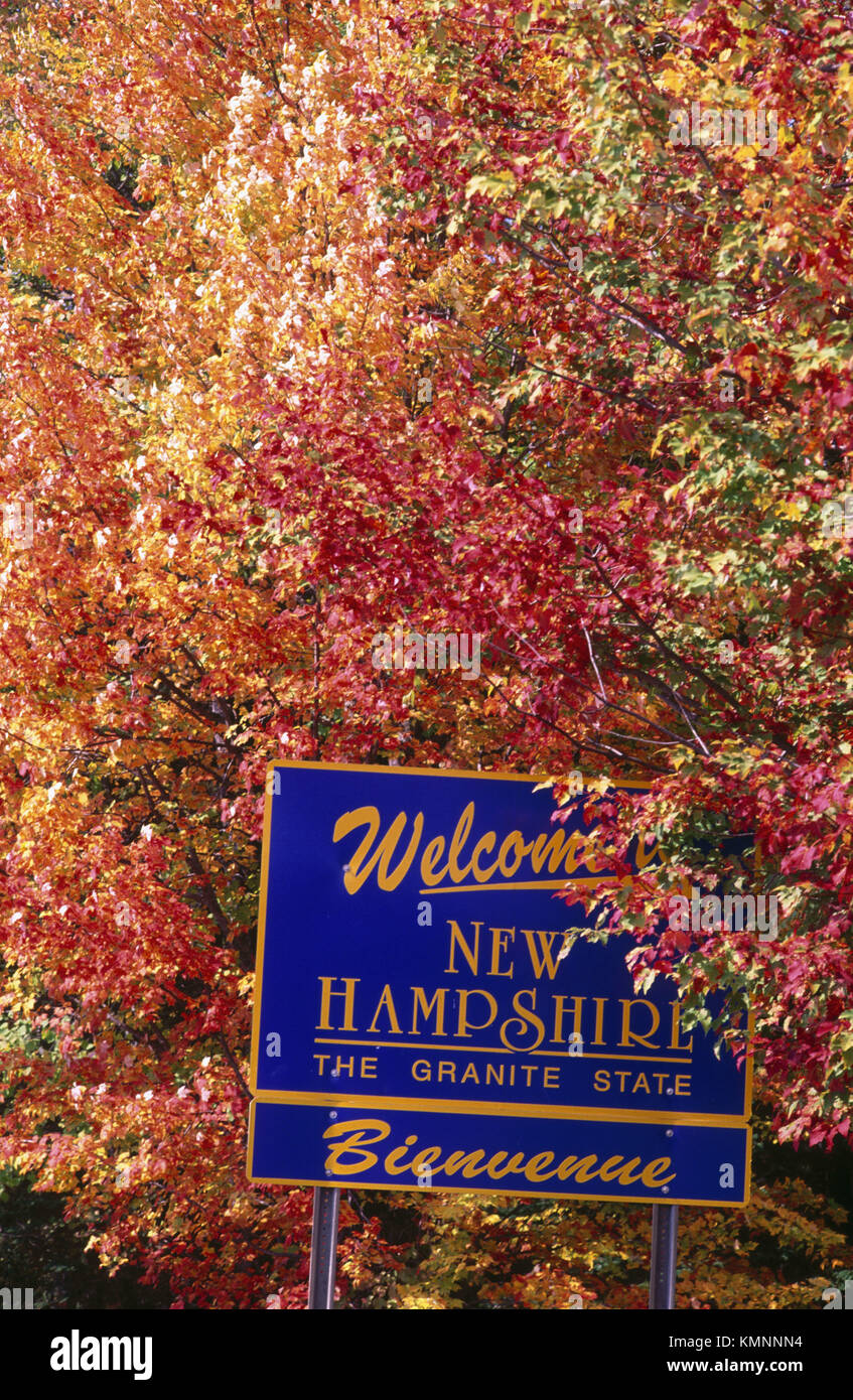 Plant information sign hi-res stock photography and images - Alamy