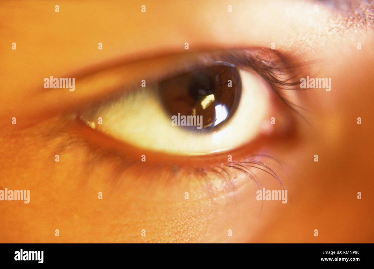 Girl´s eye, eighteen years old Stock Photo - Alamy