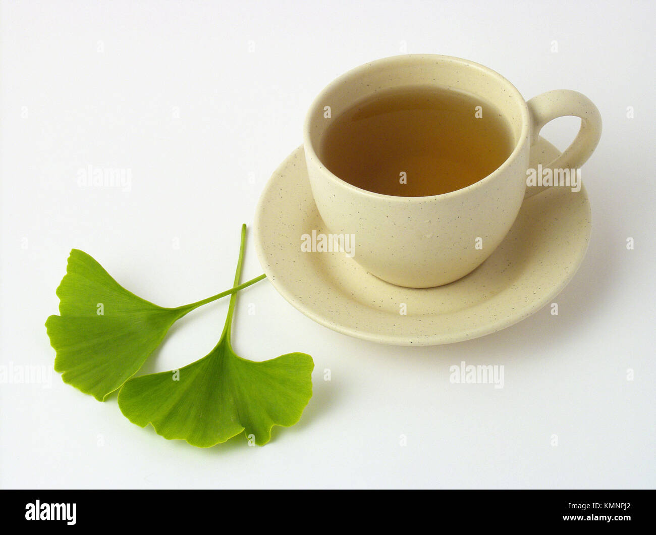 Ginkgo (Ginkgo biloba) herbal infusion Stock Photo - Alamy
