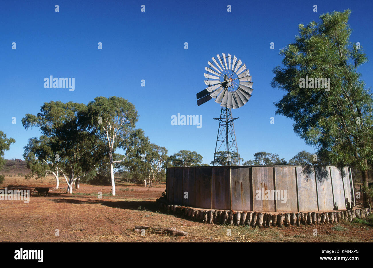 Cattle station northern territory hi-res stock photography and images ...