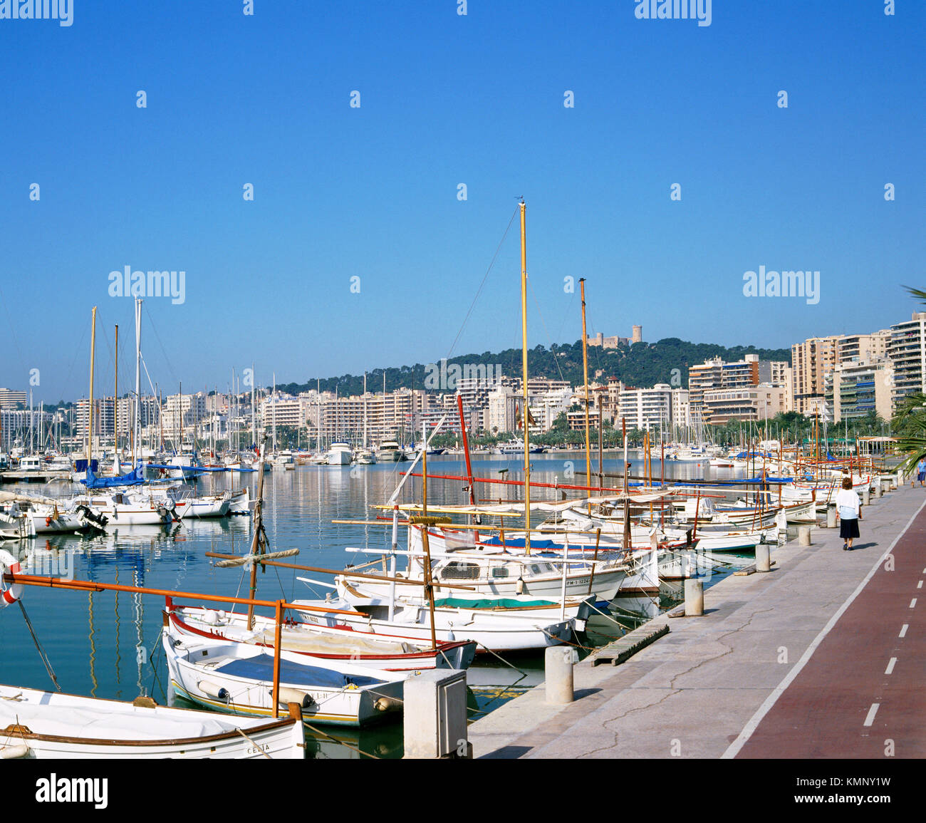 Palma mallorca harbor human hi-res stock photography and images - Alamy
