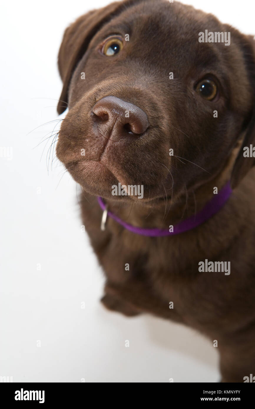 Narf 0021 hi-res stock photography and images - Alamy