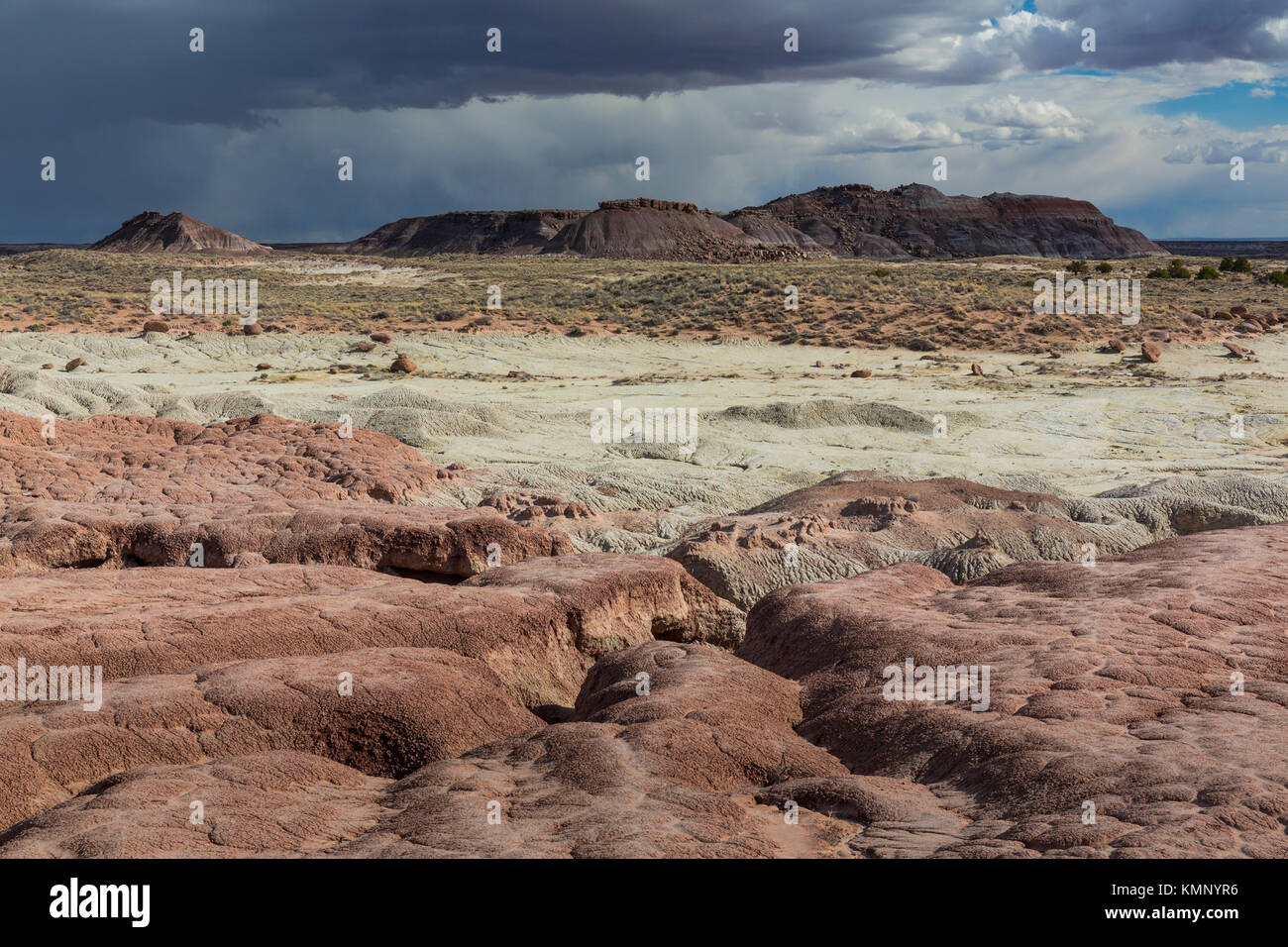 Badlands, Petrified Forest National Park, Arizona, USA, America Stock ...