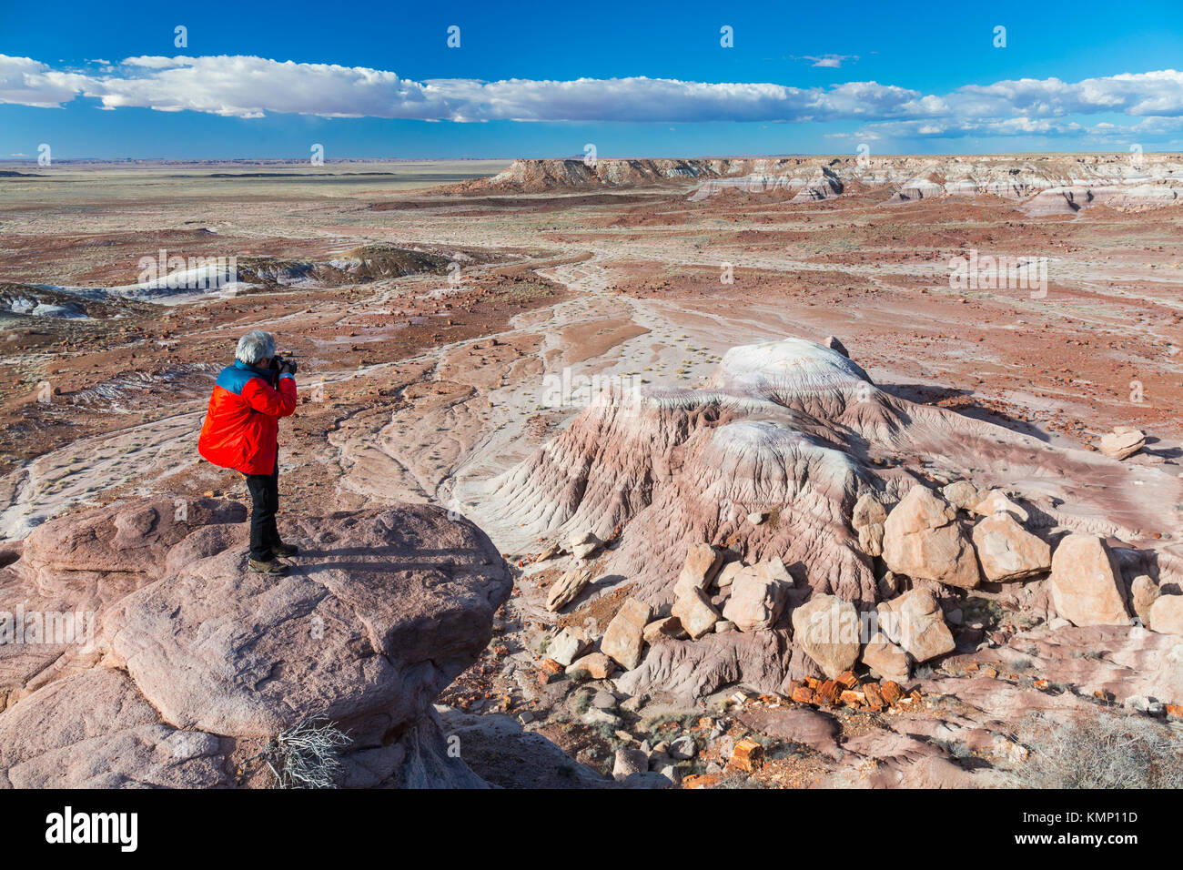 Badlands, Petrified Forest National Park, Arizona, USA, America Stock ...