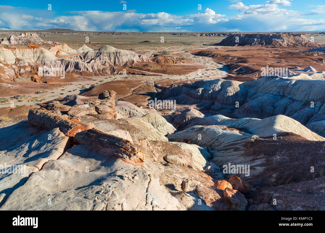 Badlands, Petrified Forest National Park, Arizona, USA, America Stock ...