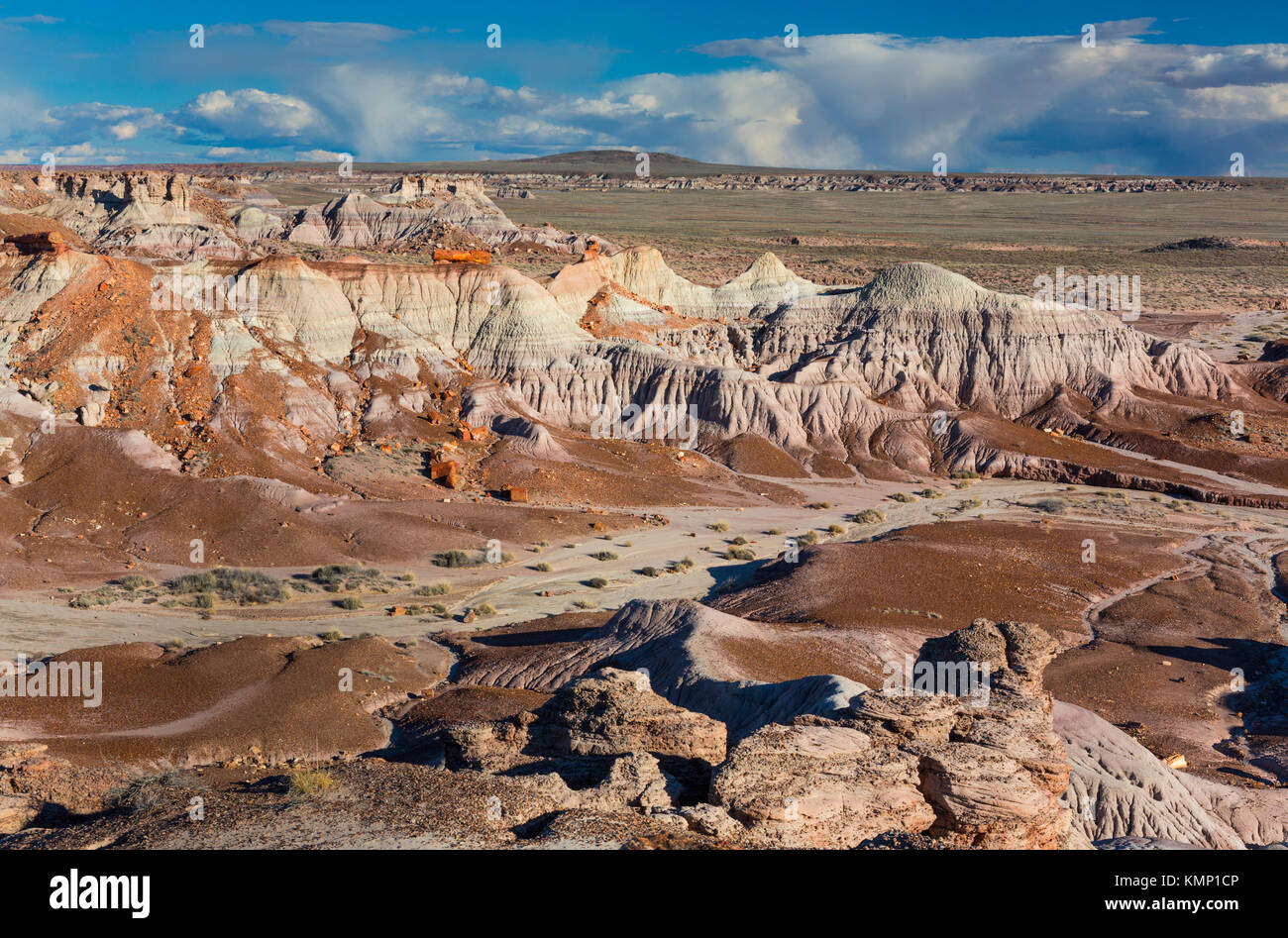 Badlands, Petrified Forest National Park, Arizona, USA, America Stock ...