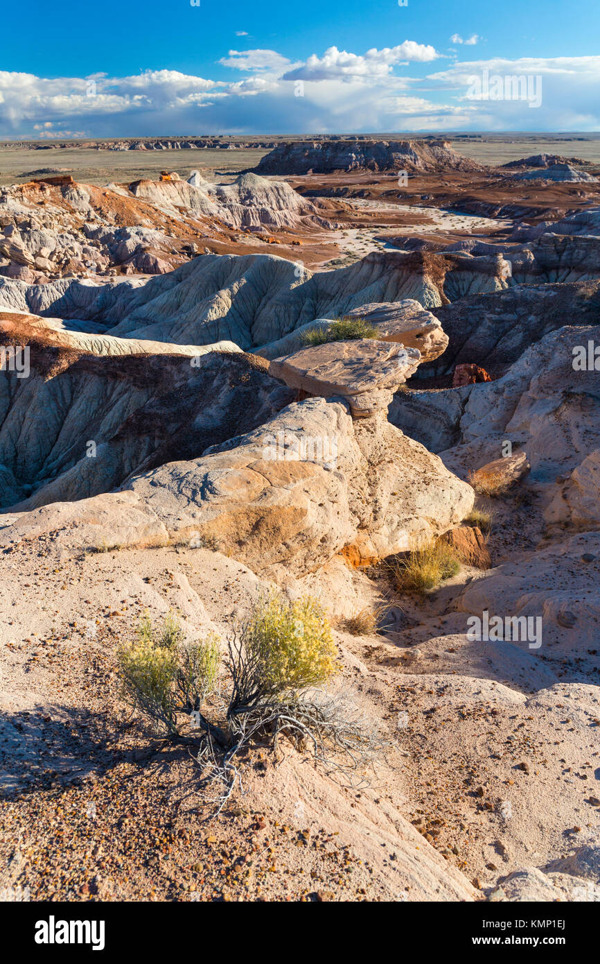 Badlands, Petrified Forest National Park, Arizona, USA, America Stock ...