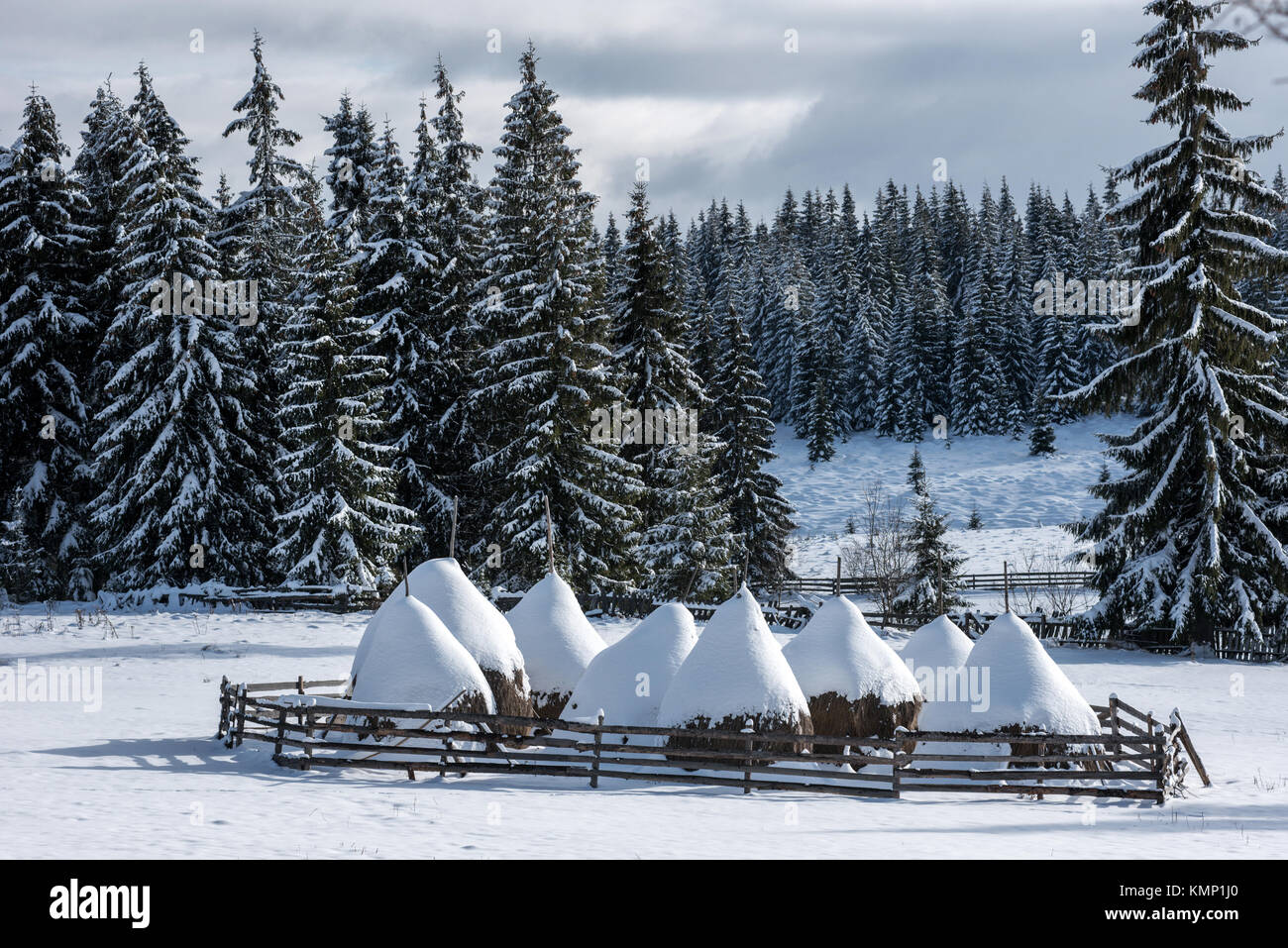 Covered haystacks hi-res stock photography and images - Alamy