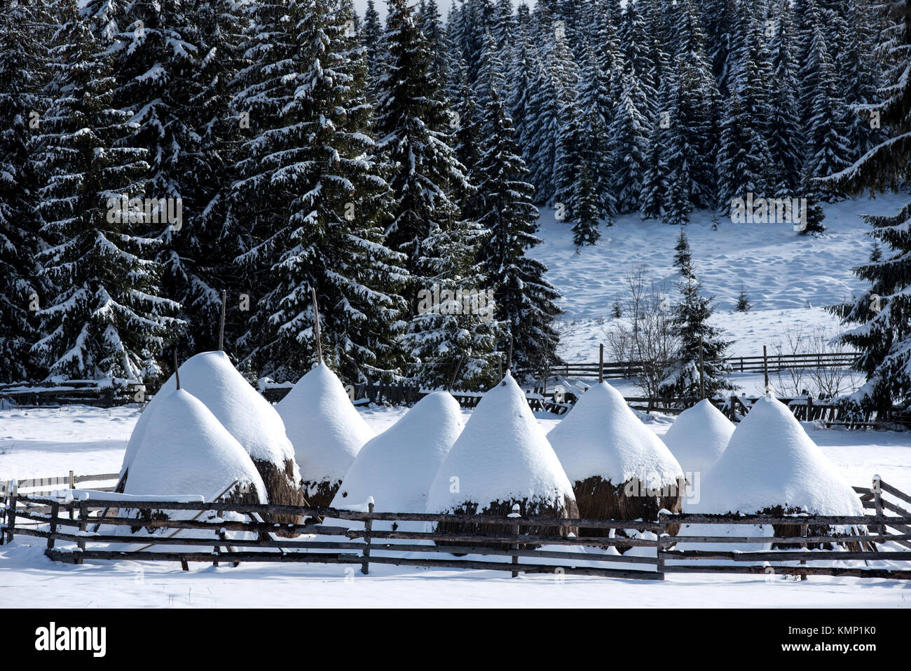 Covered haystacks hi-res stock photography and images - Alamy