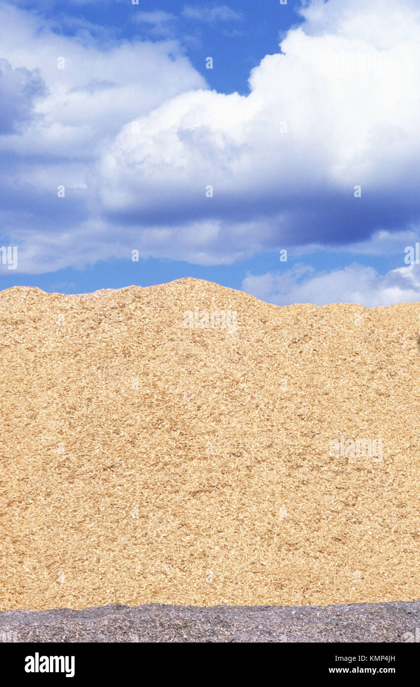 Paper wood pulp hi-res stock photography and images - Alamy