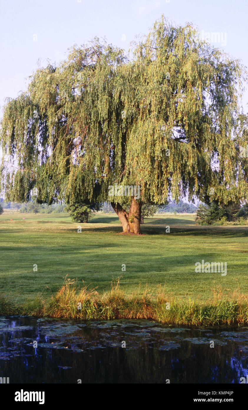 The course of a design hi-res stock photography and images - Alamy