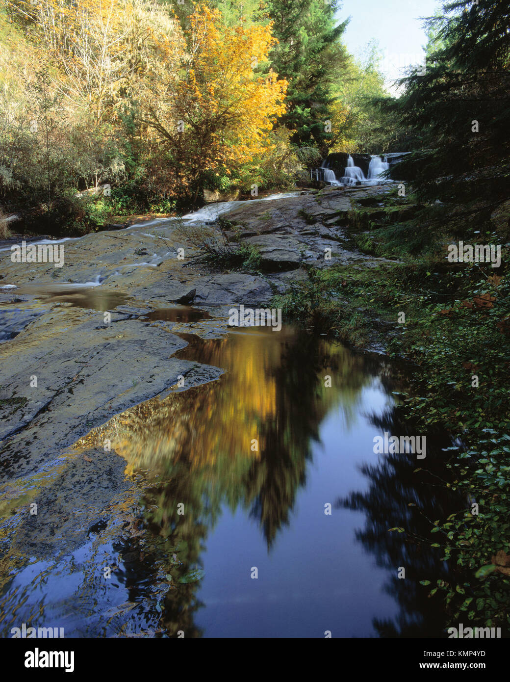 Usa oregon alsea river hi-res stock photography and images - Alamy