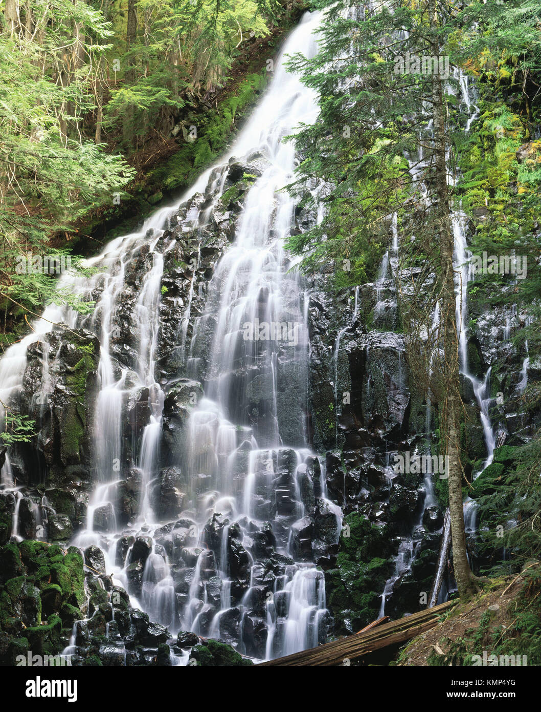 Ramona Falls. Mount Hood Wilderness. Clackamas County. Oregon. USA ...