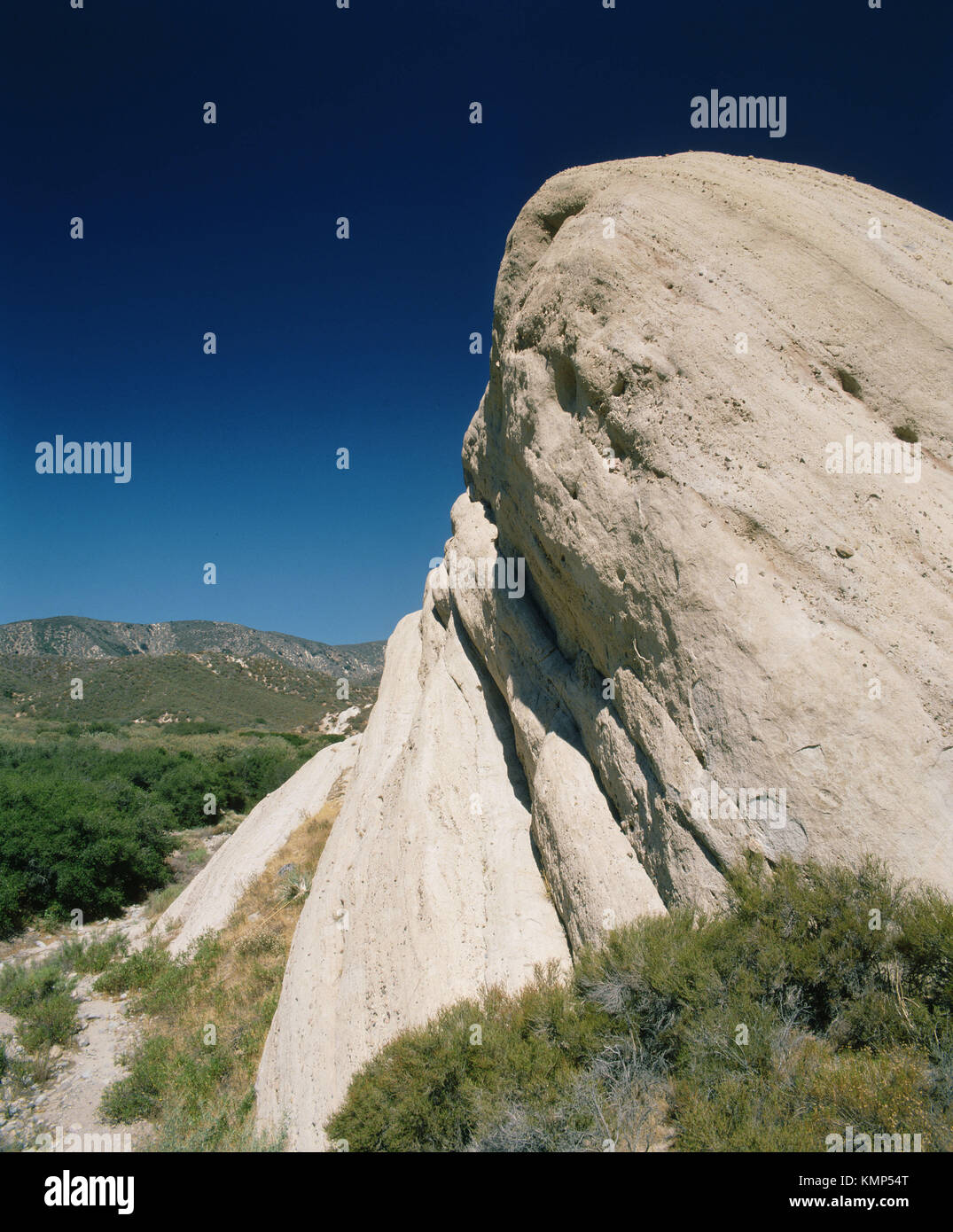 Are Dogs Allowed At Mormon Rocks