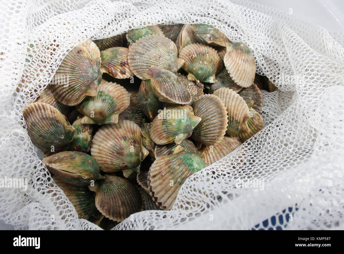 Scalloping hi-res stock photography and images - Alamy