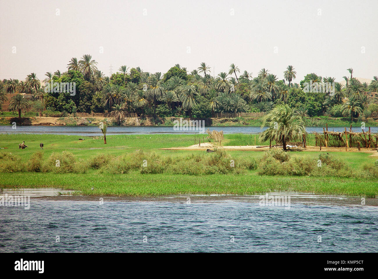Nile river bank. Egypt Stock Photo - Alamy