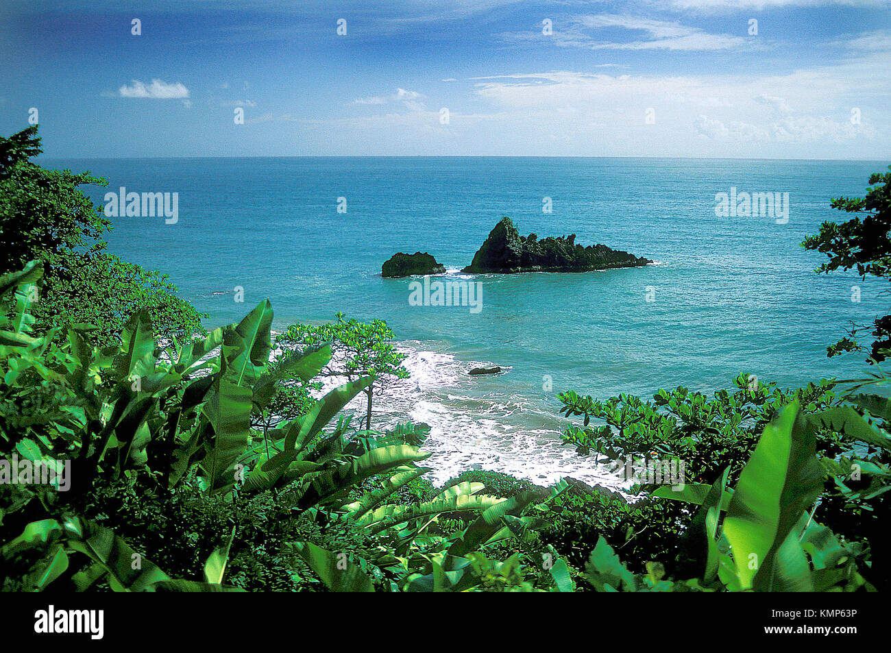 East coast tobago hi-res stock photography and images - Alamy