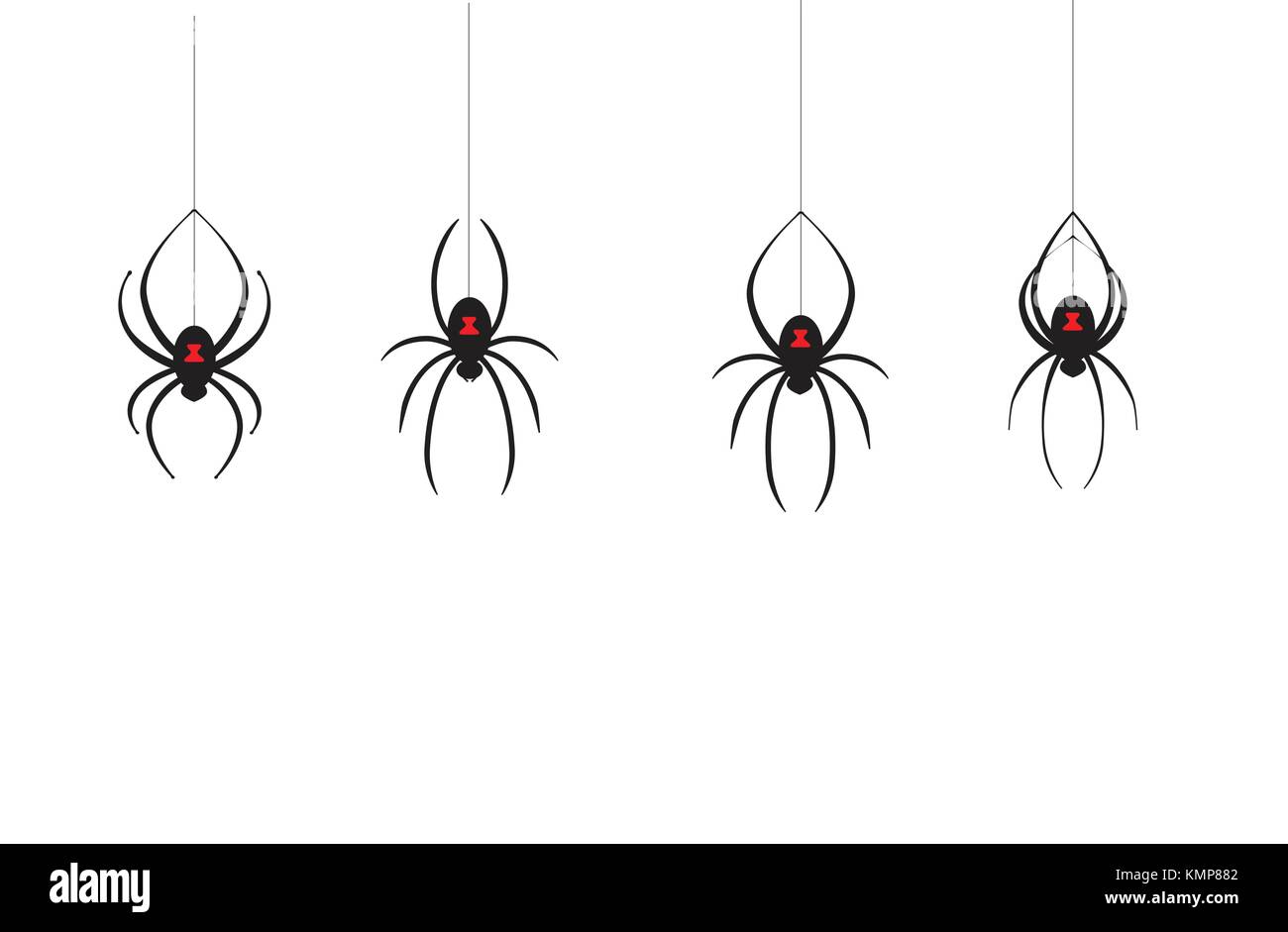 Killer black widow spider hi-res stock photography and images - Alamy