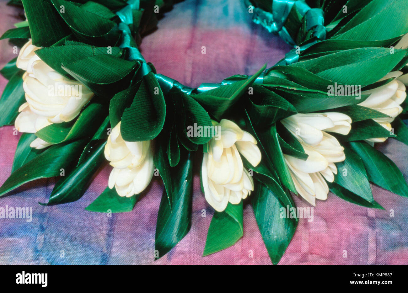 Tiare Tahiti High Resolution Stock Photography and Images - Alamy