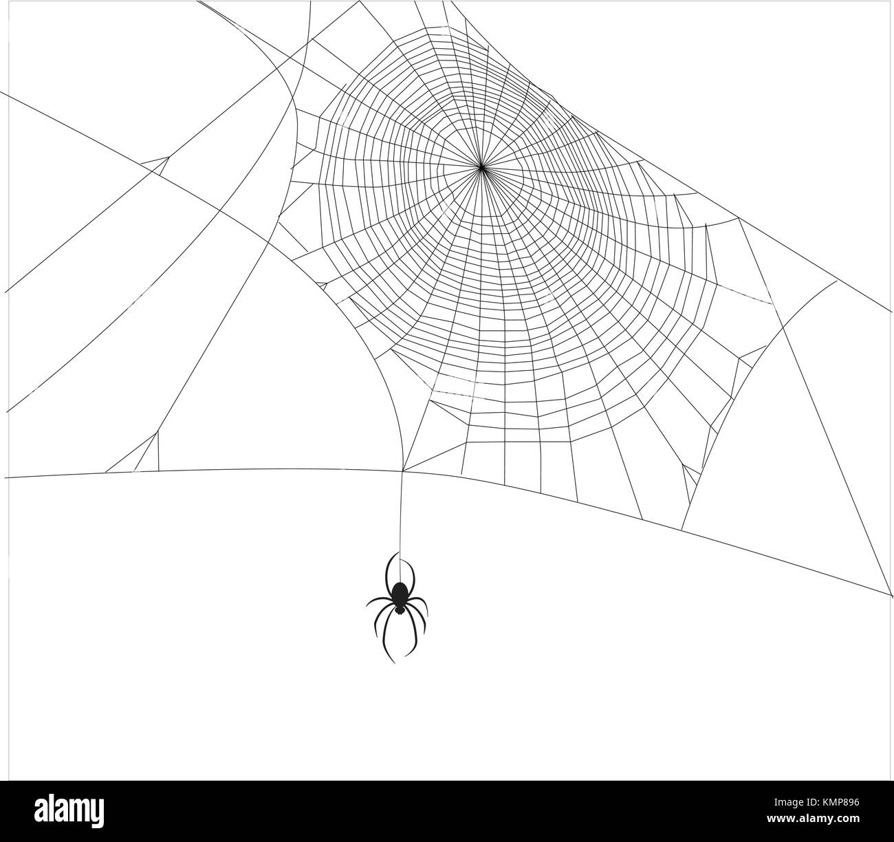spider's web vector Stock Vector Image & Art - Alamy