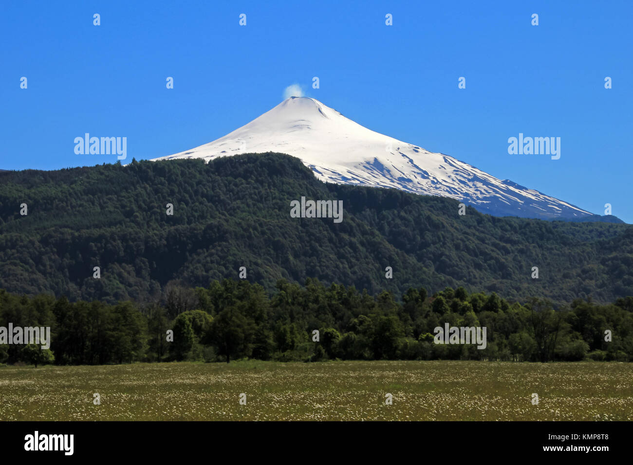 Villarica national park hi-res stock photography and images - Alamy