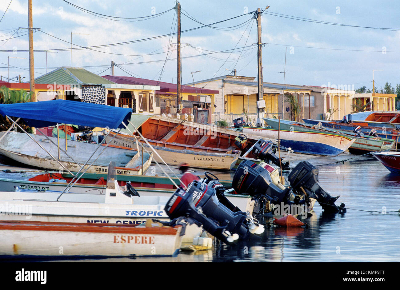 Guadaloupe Island High Resolution Stock Photography and Images - Alamy