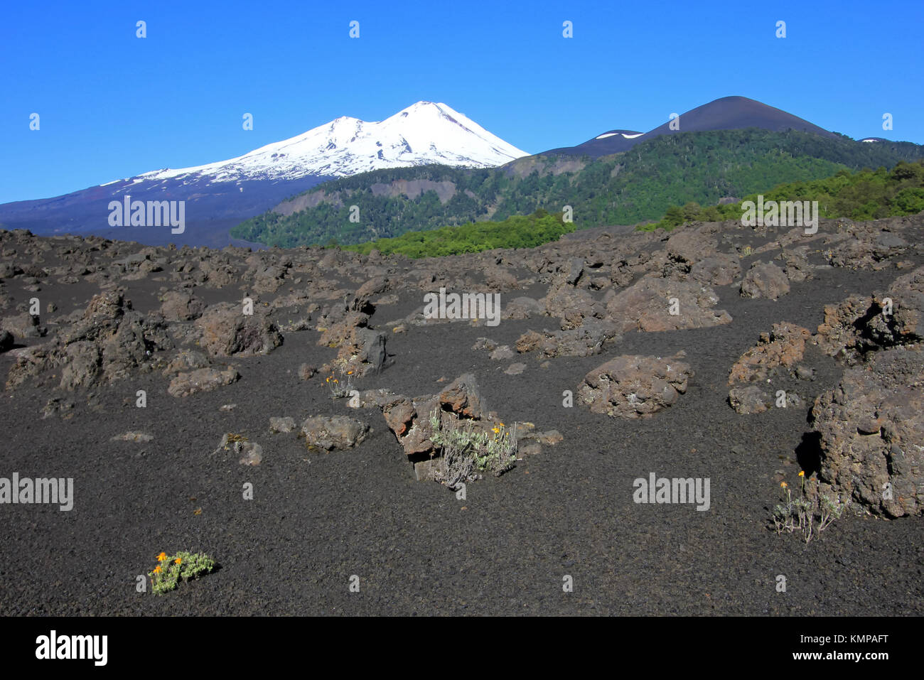 Snow capped peak of Volcano Llaima, Conguillio National Park, Chile ...