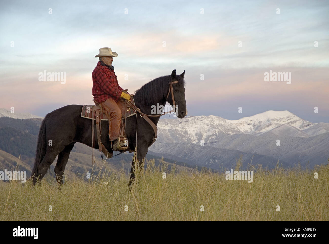 Cowboy riding horse montana usa hi-res stock photography and images - Alamy
